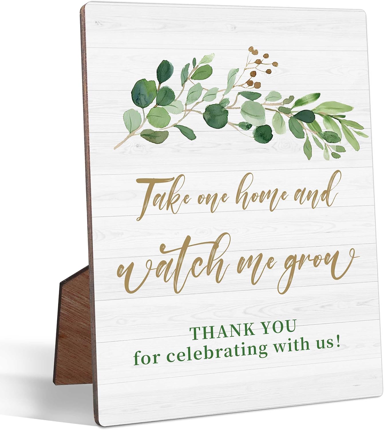Amazon.com: Succulent Plant Baby Shower Party Favors Watch Me Grow Sign ...