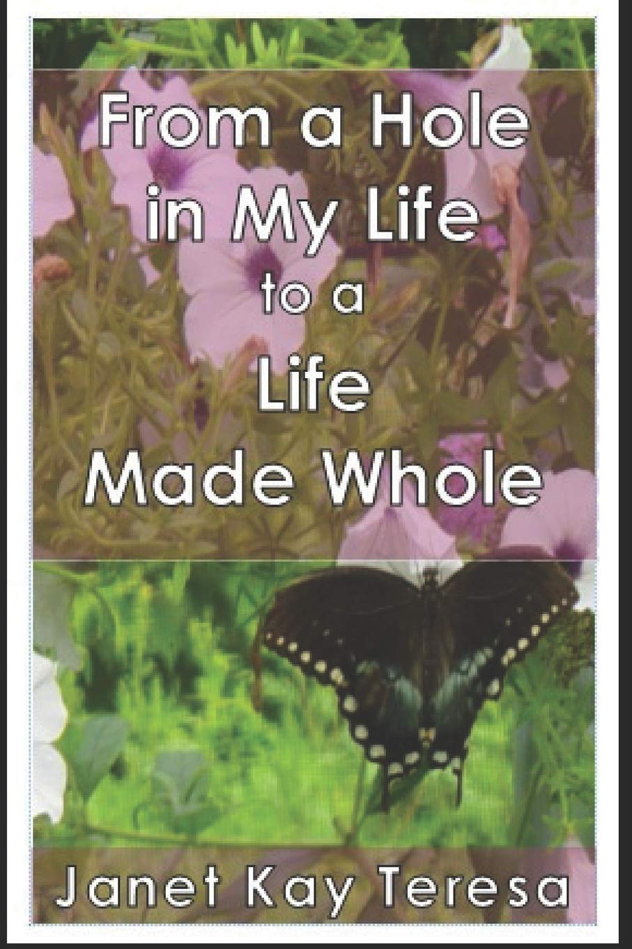 Amazon.com: From a Hole in My Life to a Life Made Whole: 9781949798067 ...