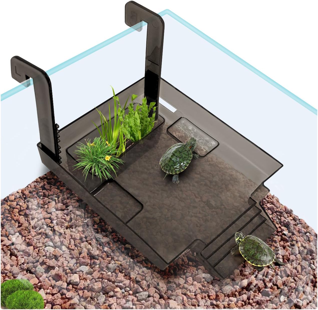 Amazon.com: La La Pet Turtle Basking Platform Tortoise Resting Terrace ...
