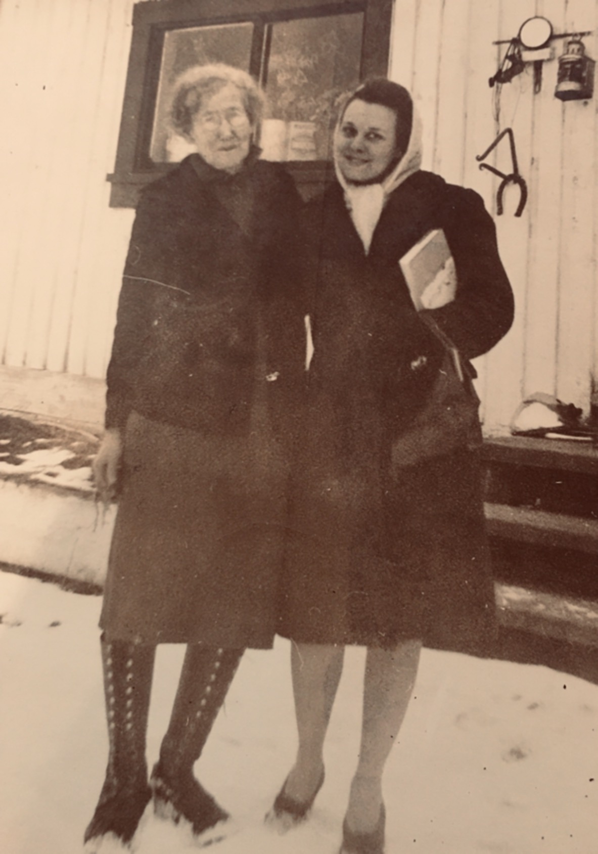 Alaska Nellie: Lawing, Nellie Neal, Heim, Patricia A.: 9780983249702 ...