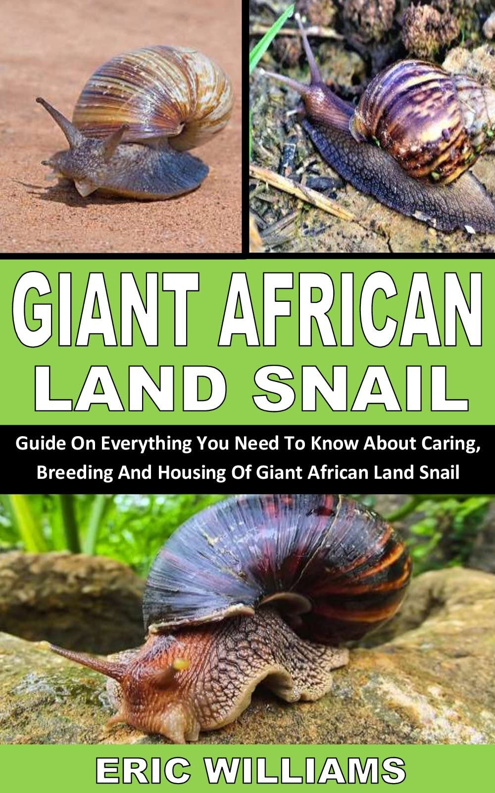 Buy GIANT AFRICAN LAND SNAIL: Guide On Everything You Need To Know ...
