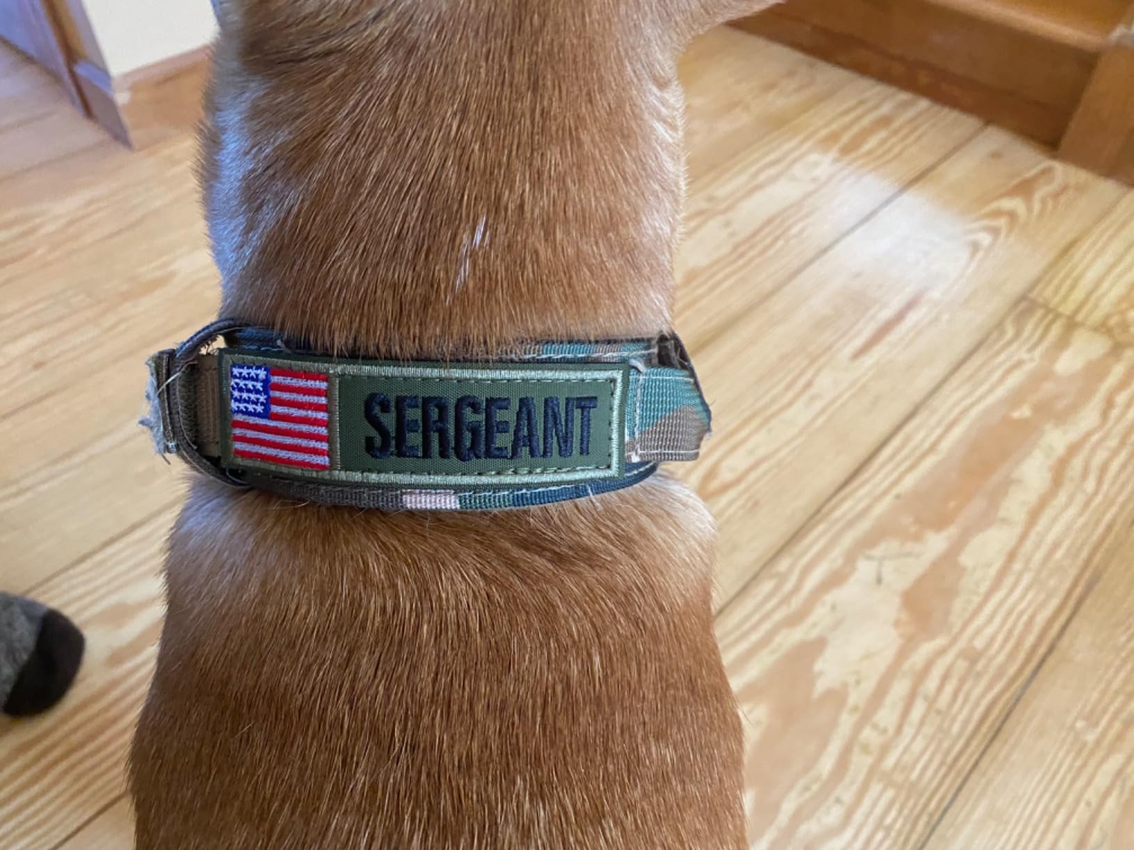 Amazon.com: 2PCS Customizable Name Patches with Hook Fastener， Army Green &Personalized Tactical ...