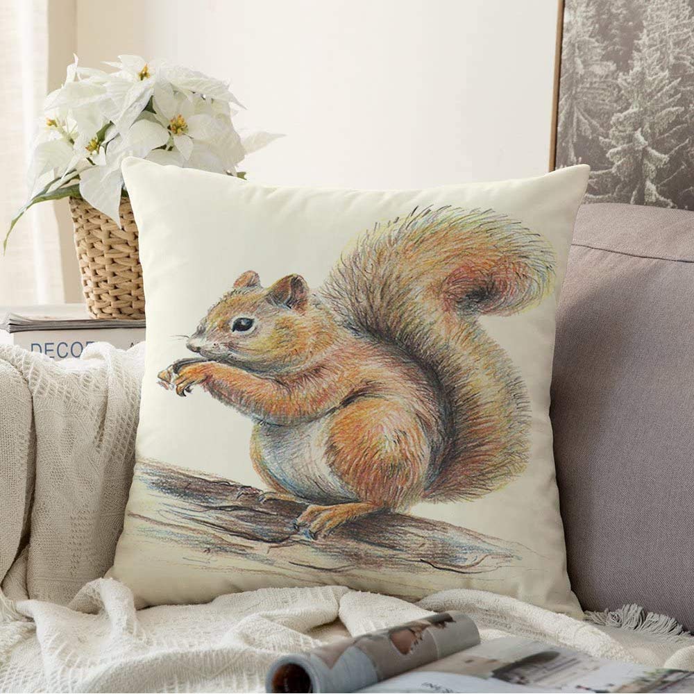 Decorative Pillow Drawing