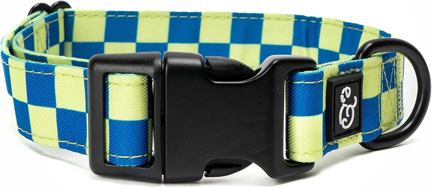 Amazon.com : Lucy & Co. Have a Nice Day Dog Collar - Durable ...