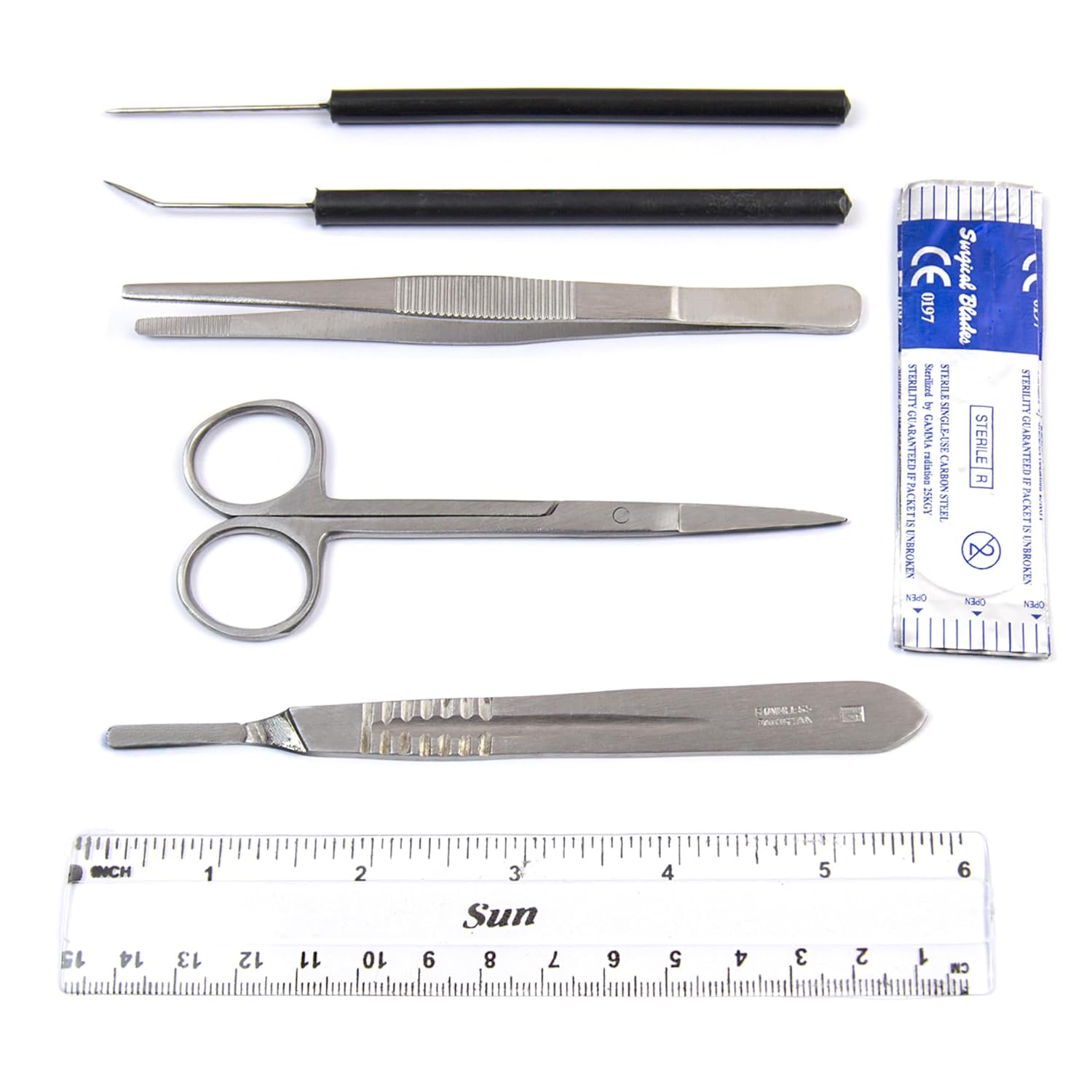 Amazon.com: DEXSUR Dissection Kit for Biology Lab & Anatomy - Stainless ...