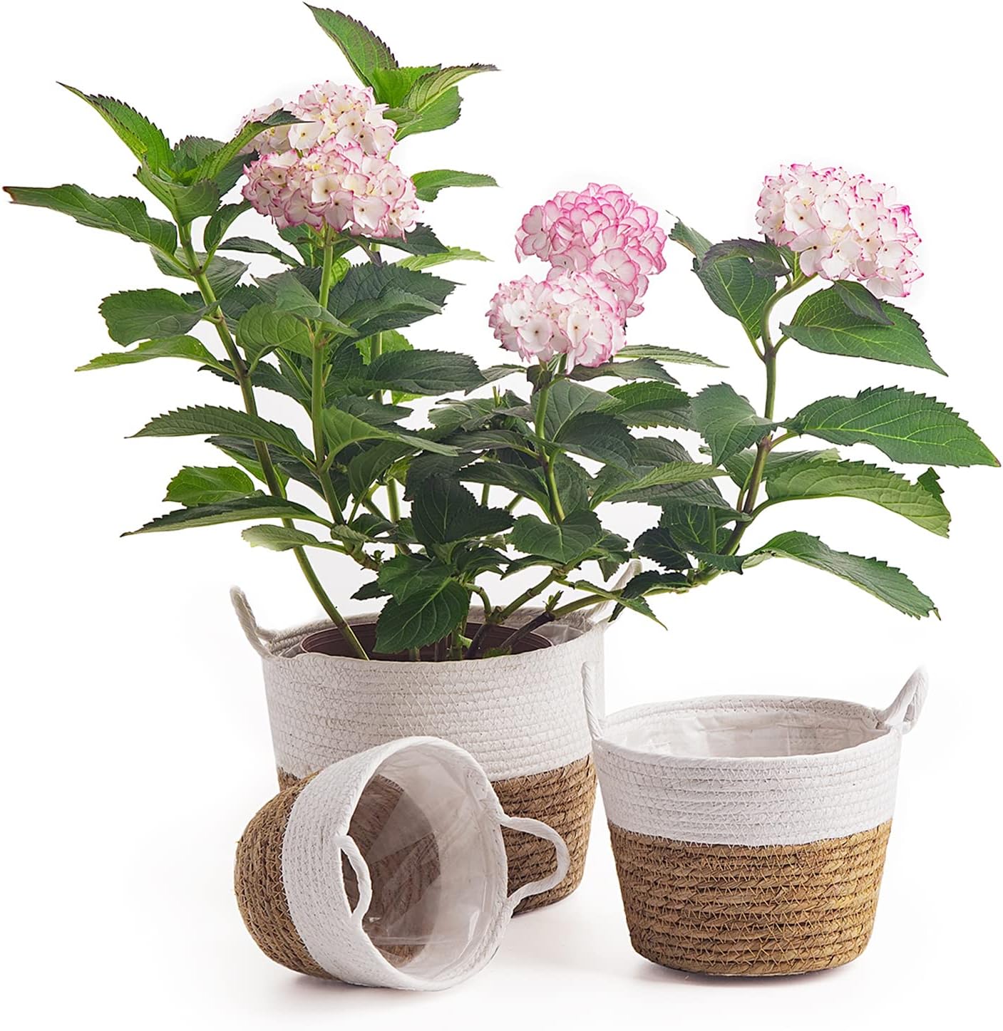 SaolGllS Plant Pots Seagrass Basket Planter - House Flower Pots Indoor ...