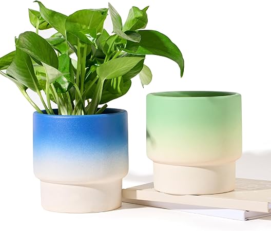 Amazon.com: 4 Inch Plant Pots Indoor with Drainage Holes Ceramic ...