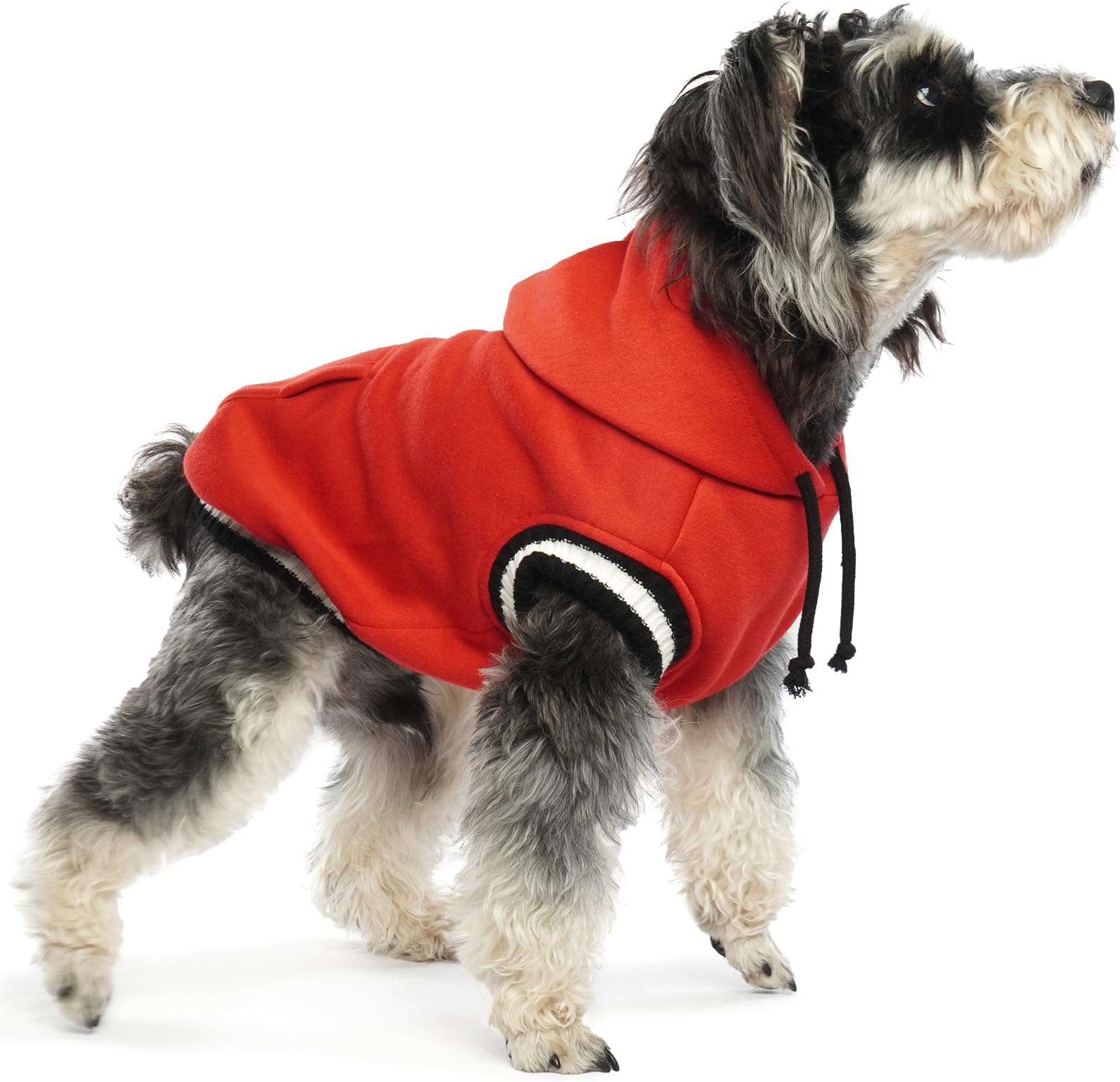 Amazon.com : Zack & Zoey Basic Hoodie for Dogs, 16" Medium, Nautical ...