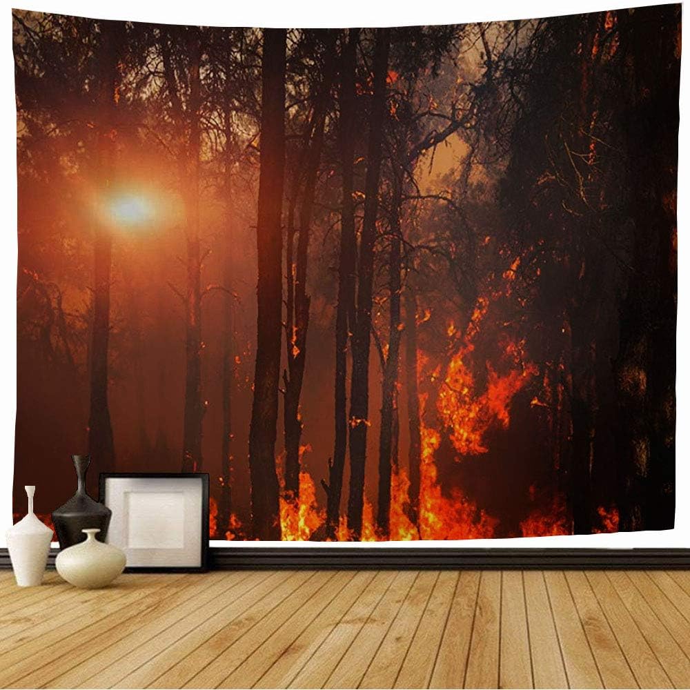 Amazon.com: Starocha Tapestry Fire Wildfire Burning Pine Forest Ecology ...