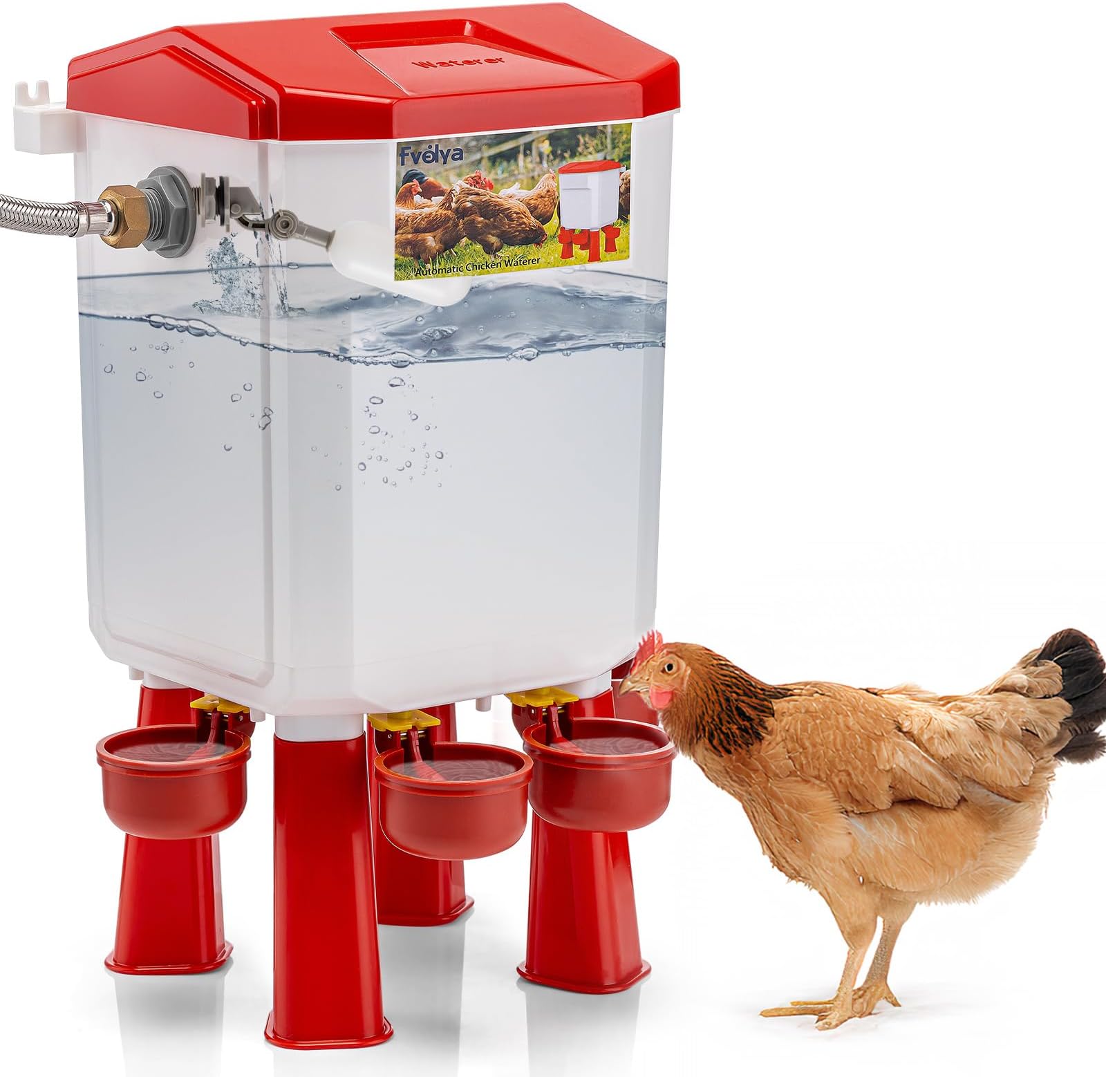 Amazon.com: Automatic Chicken Waterer Filtered Float-Controlled Quail ...
