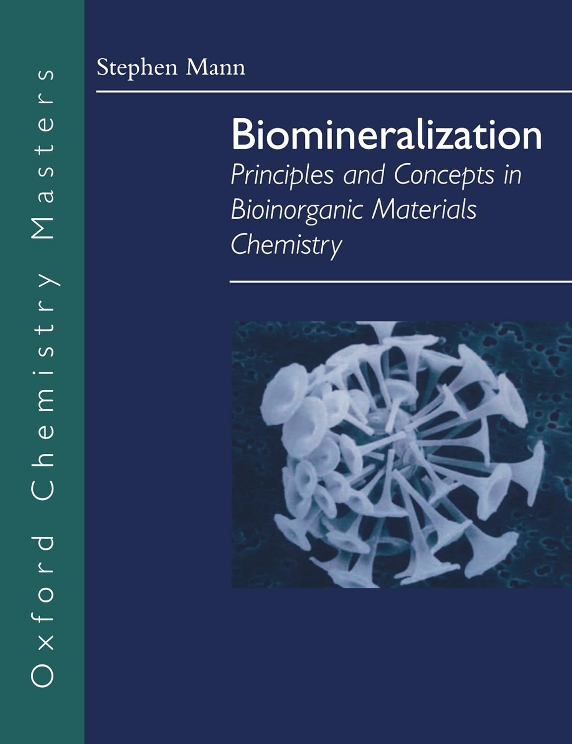 Biomineralization: Principles and Concepts in Bioinorganic Materials ...