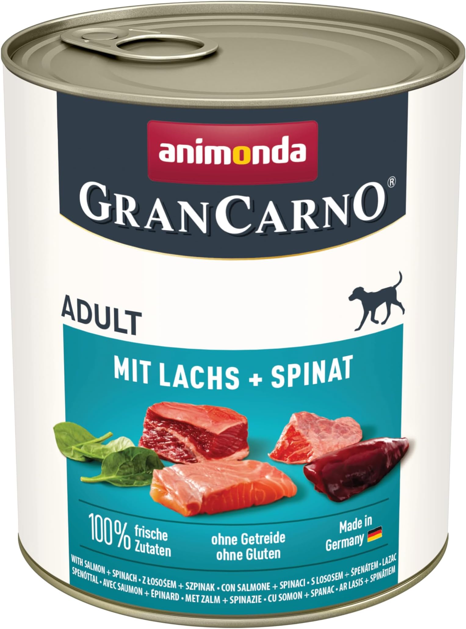 Caneo Hundefutter Test