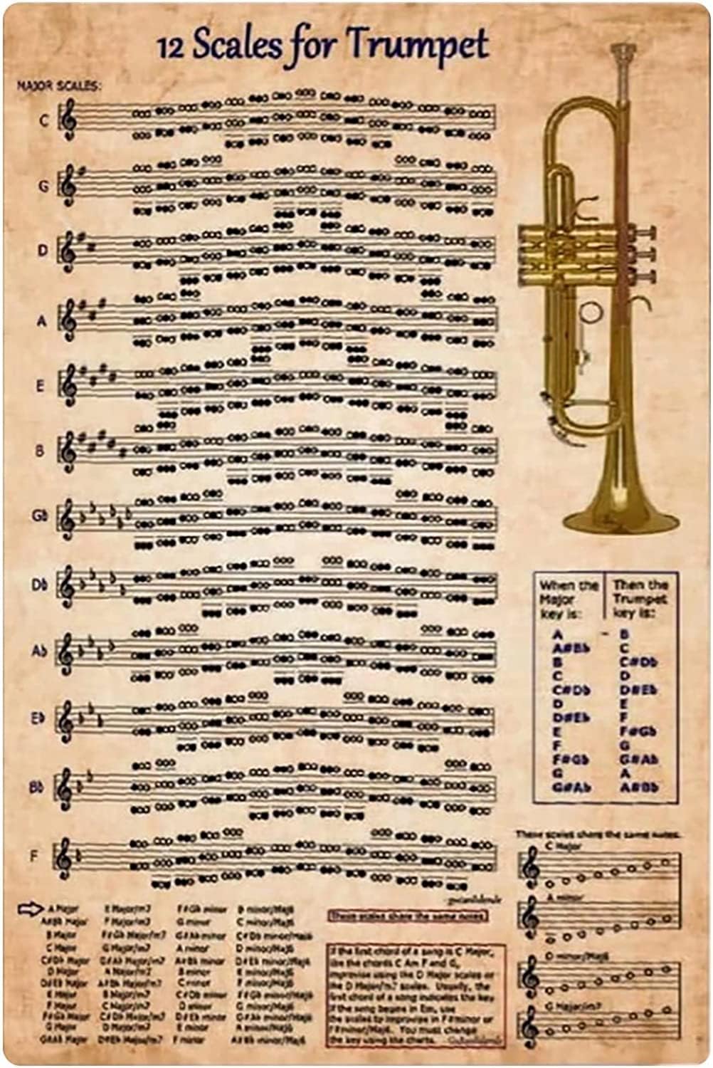 Amazon.com: LALLRI Trumpet Knowledge Retro Metal Signs 12 Scales For ...