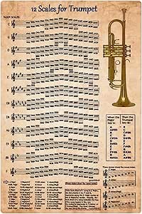 Amazon.com: LALLRI Trumpet Knowledge Retro Metal Signs 12 Scales For ...