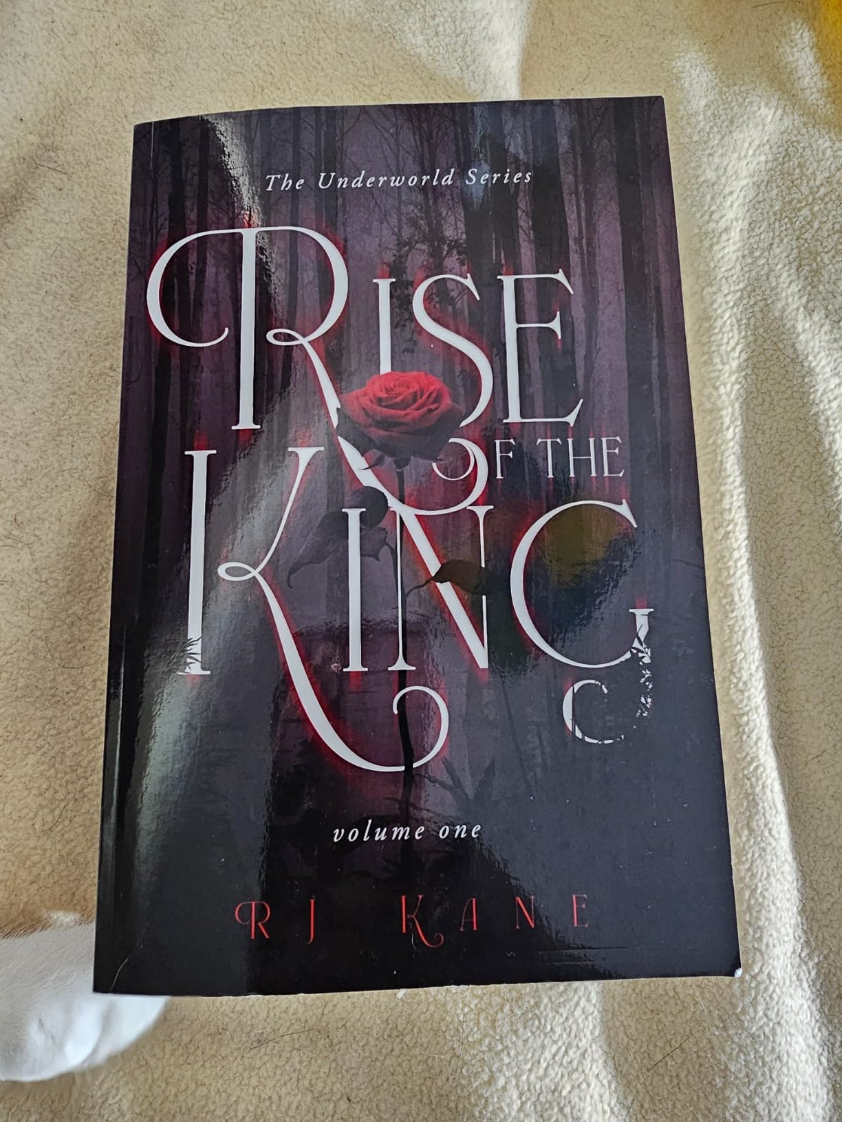 The Underworld Series: Rise of the King: Volume One: Kane, RJ ...