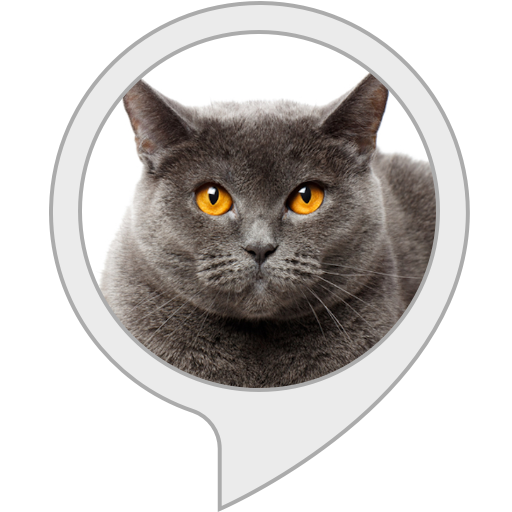 Amazon.com: Fascinating Cat Facts : Alexa Skills