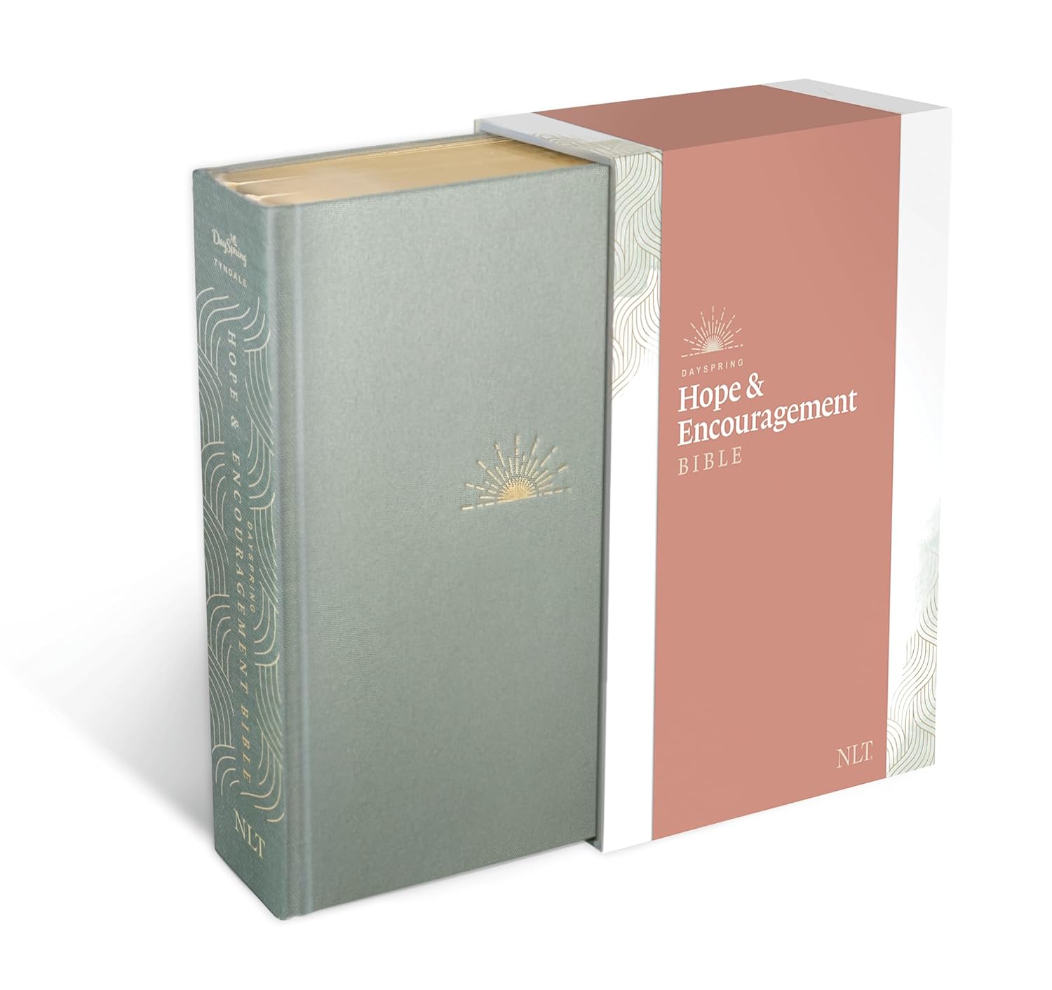 NLT DaySpring Hope & Encouragement Bible (Hardcover Deluxe, Seafoam ...