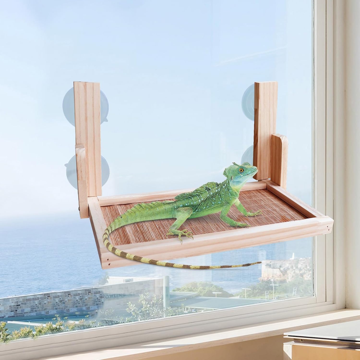 Amazon.com : Bearded Dragon Hammock, Lizard Window Perch, Wooden ...