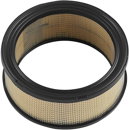Amazon.com : KOHLER 235116-S Engine Air Filter For M8, K181N/L And K241 ...