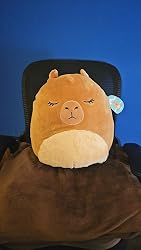 Amazon.com: Squishmallows Original 14-Inch Lijjian Brown Capybara ...