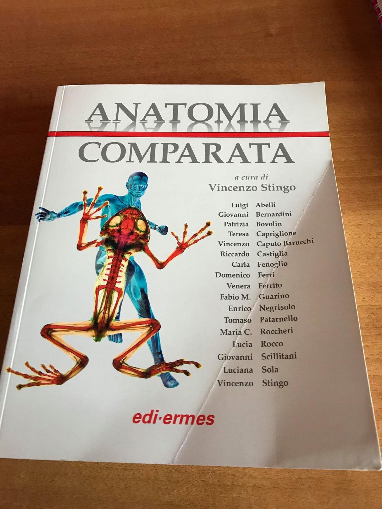 Anatomia comparata. Con aggiornamento : Stingo, V.: Amazon.it: Libri