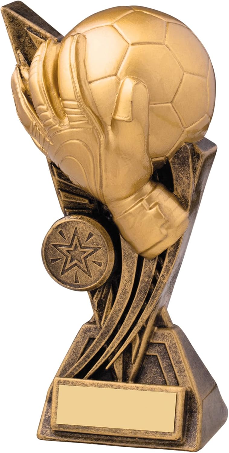 Vortex Goalkeeper Football Trophy Award 180mm Free Engraving-RF082A-GDT ...