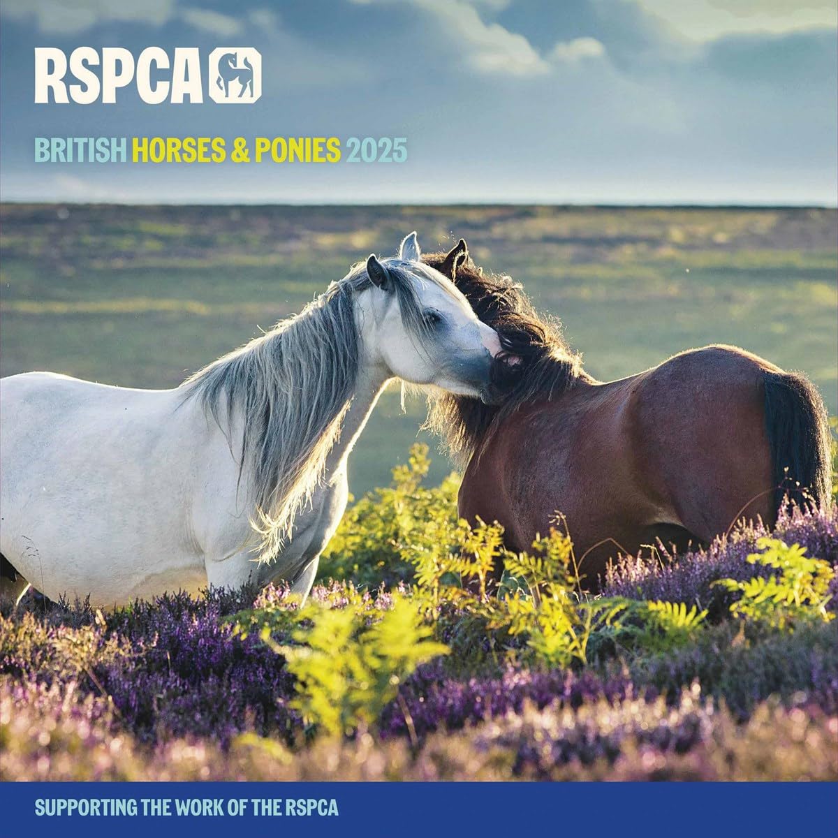 RSPCA British Horses & Ponies Wall Calendar 2025 (PFP) : Amazon.co.uk ...