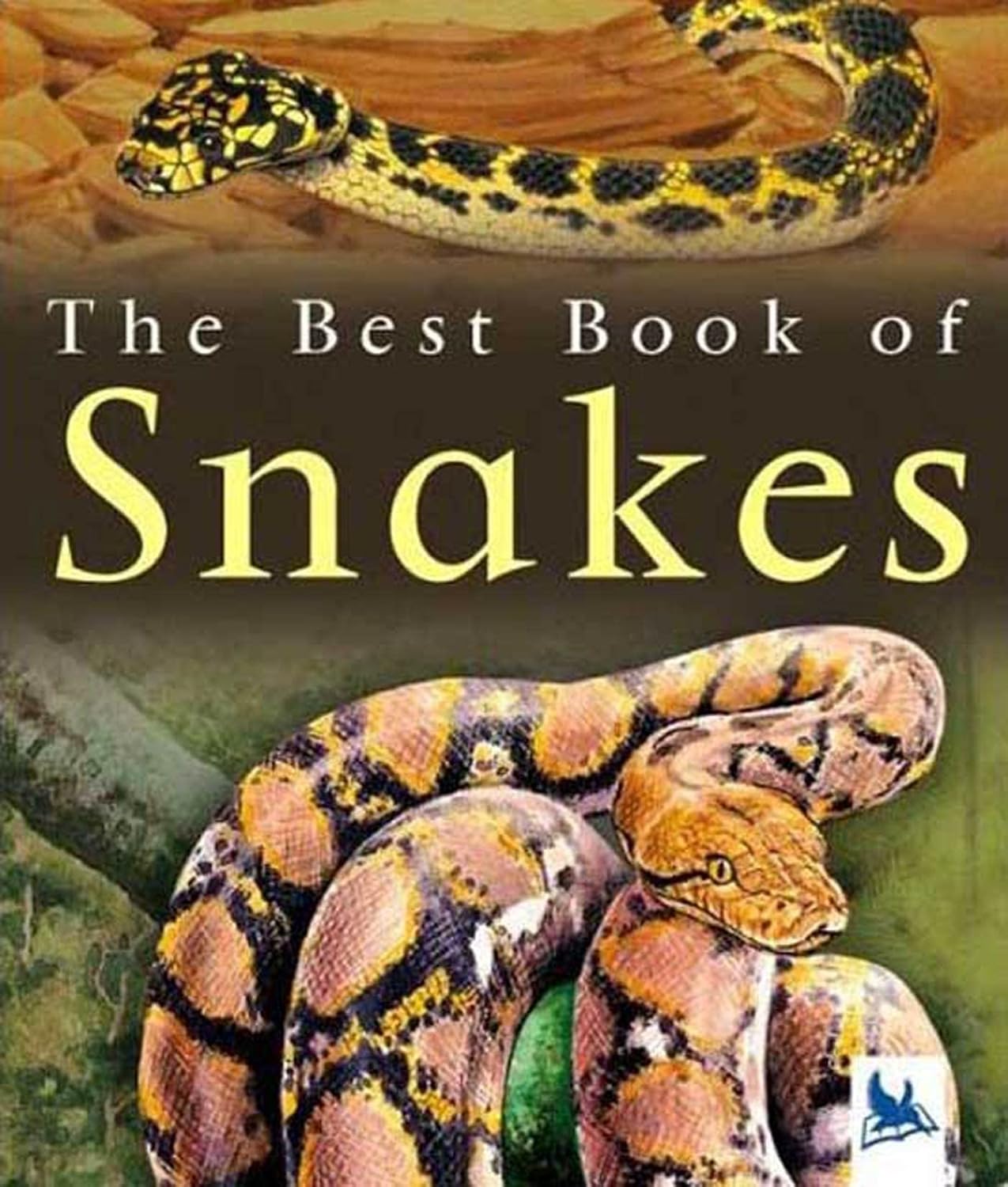 My Best Book of Snakes (The Best Book of): Gunzi, Christiane ...