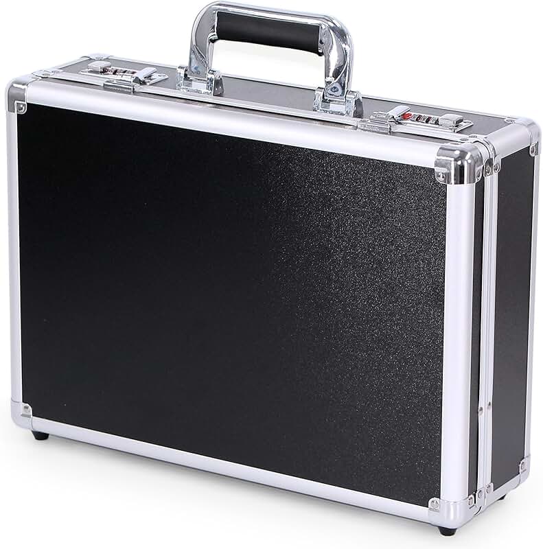 Amazon.ca: Briefcase