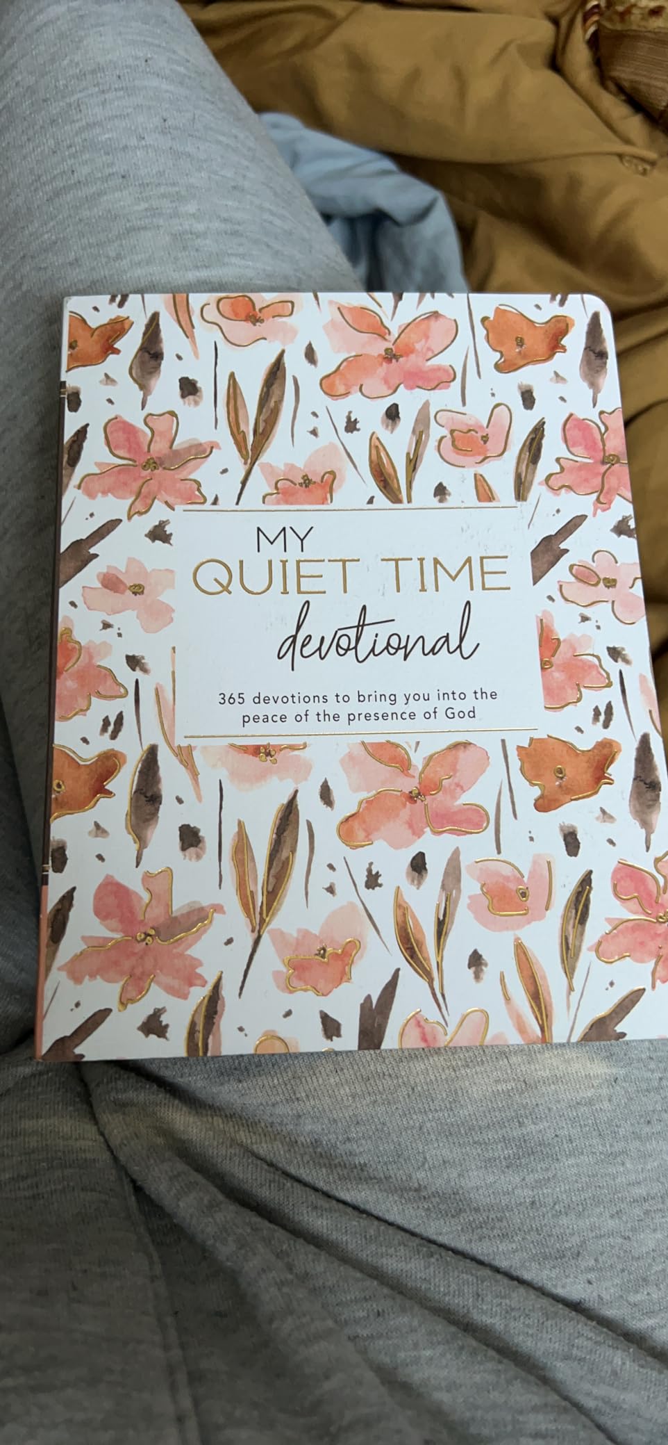 My Quiet Time Devotional - 365 Devotions for Women To Bring You Into ...