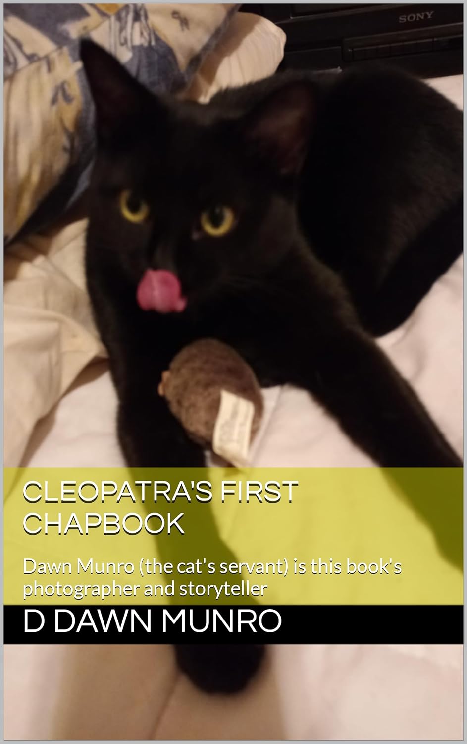 Amazon.com: Cleopatra's First Chapbook: Dawn Munro (the cat's servant ...