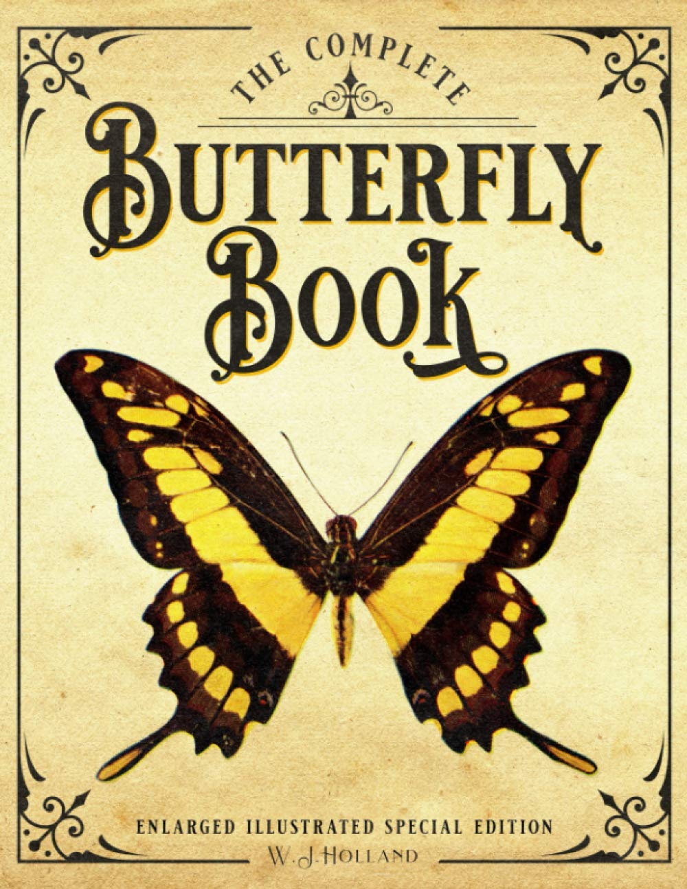 The Complete Butterfly Book: Enlarged Illustrated Special Edition ...
