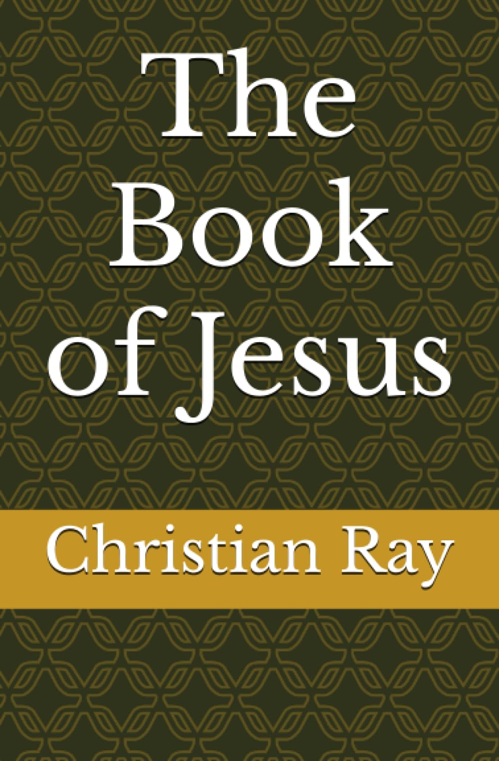 The Book of Jesus: Ray, Christian: 9798850933210: Amazon.com: Books