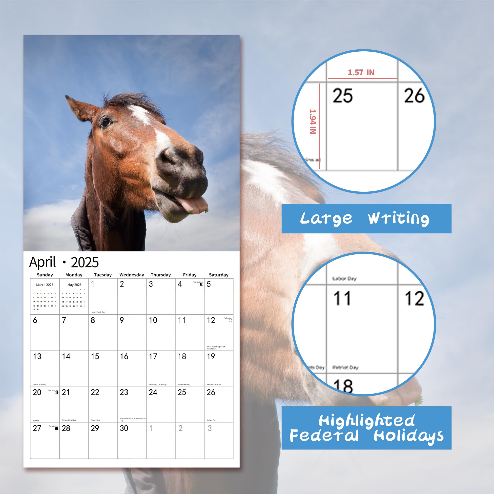 Snapklik.com : 2025 Wall Calendar,Funny Calendar 2025, January 2025 ...