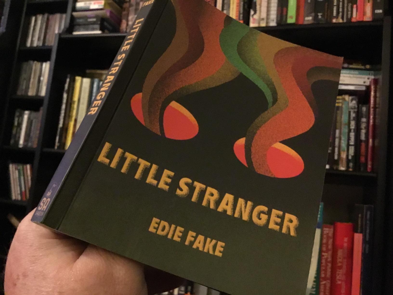 Little Stranger: Fake, Edie: 9780999193501: Amazon.com: Books
