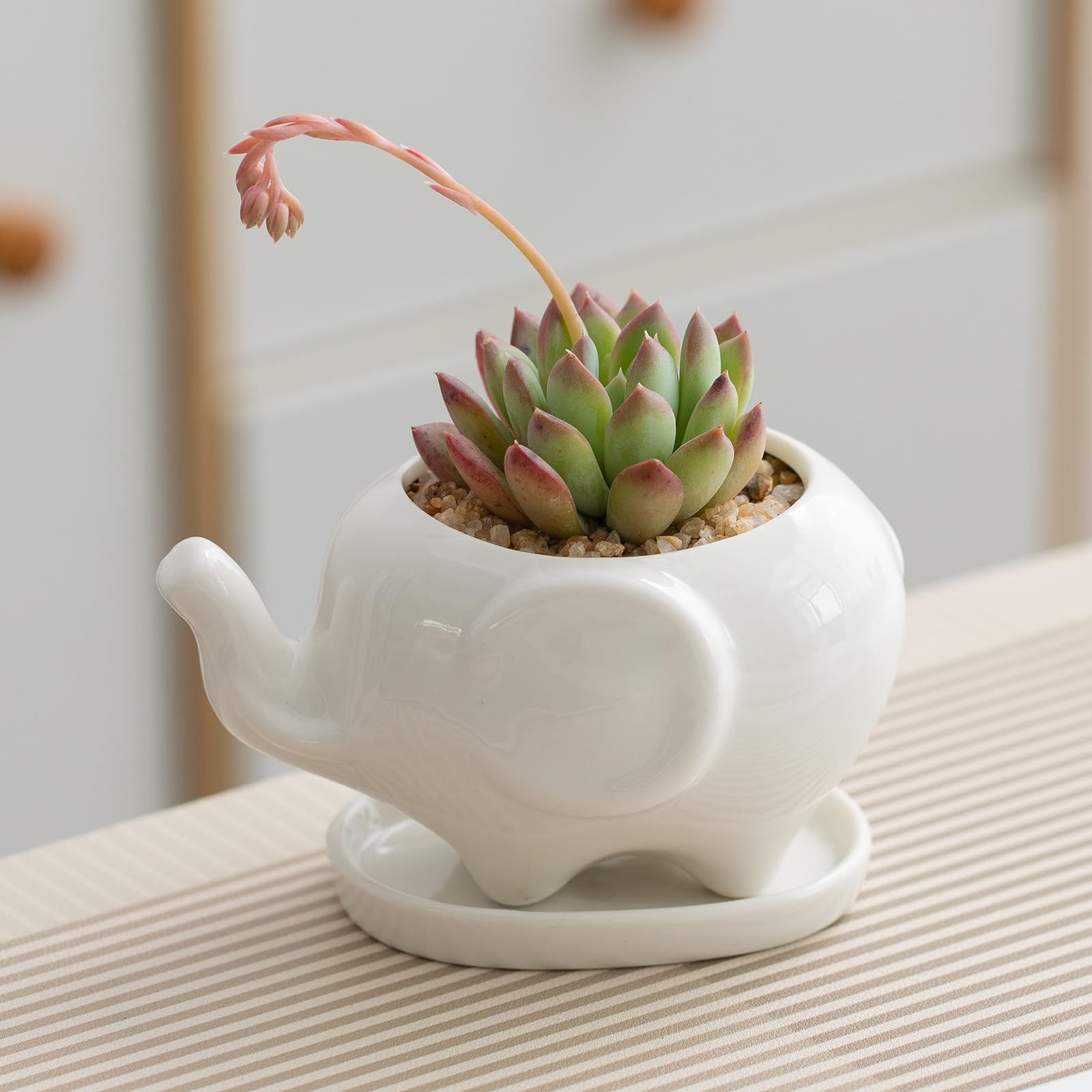 Amazon.com : Set of 2 Cute Elephant Flower Pot,Modern White Ceramic ...