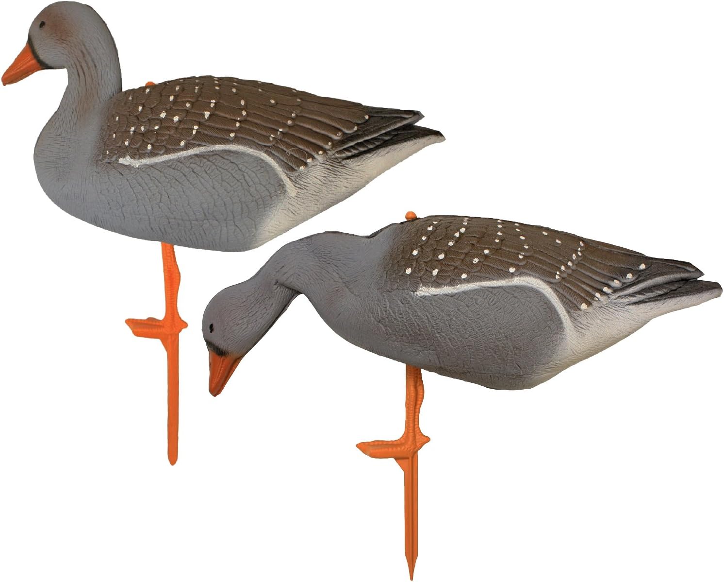 Amazon.com : Nitehawk Feeding and Looking Goose Hunting Decoys Shooting ...