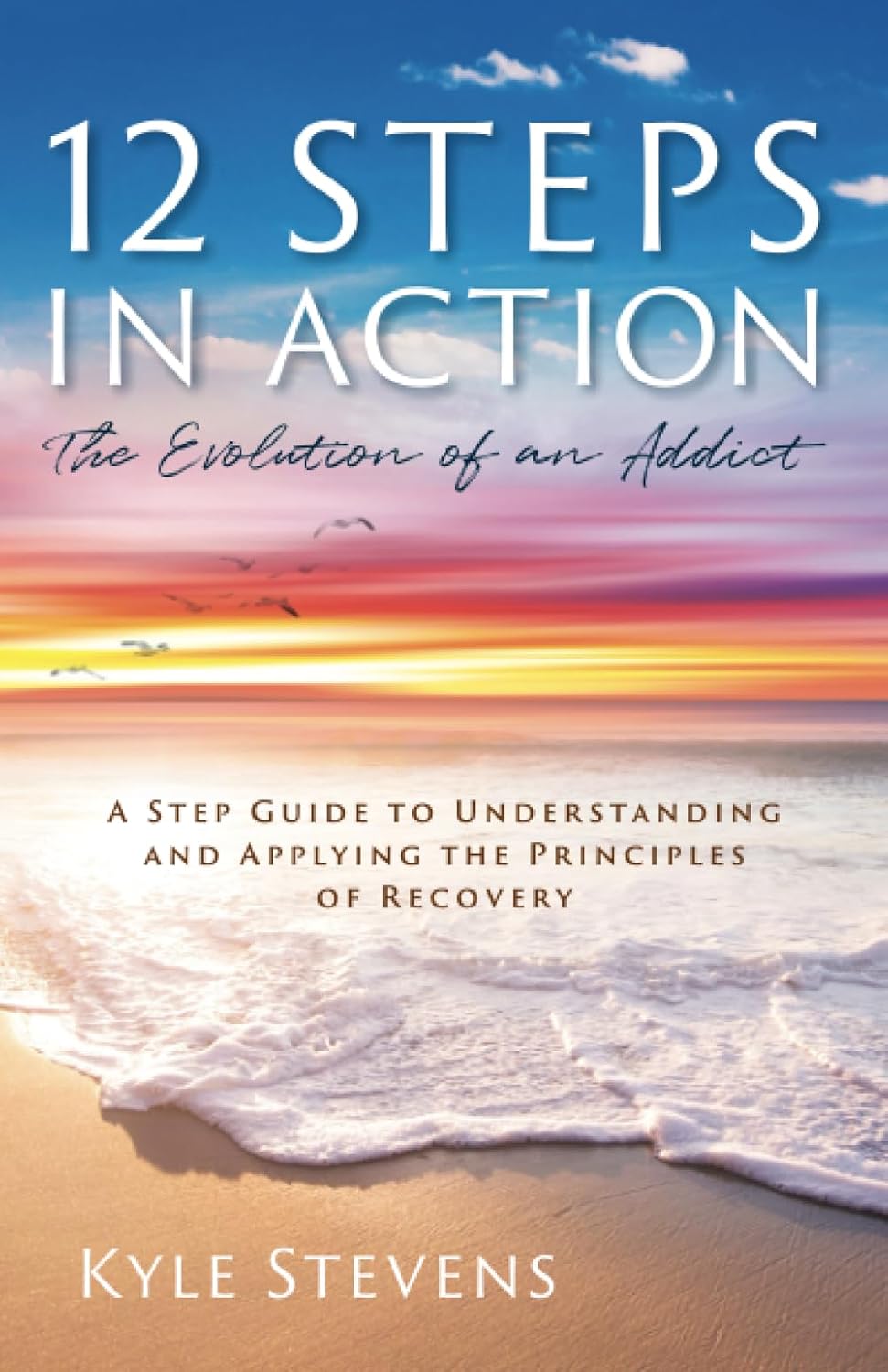 12 Steps in Action: A Step Guide to Understanding and Applying the ...