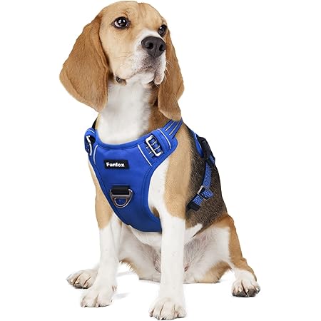 Amazon.com : Funfox Medium Dog Harness No Pull, Adjustable Dog Vest for ...
