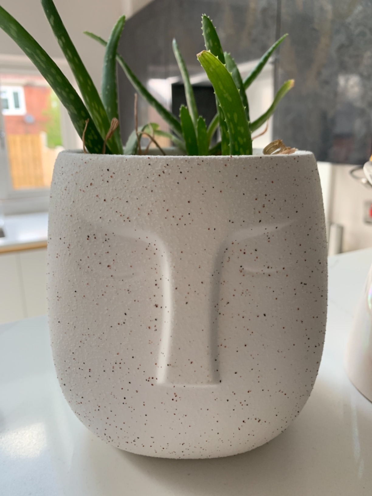 Asamio Creative Human Face Plant Pot Ceramic Statue Flower Pot ...