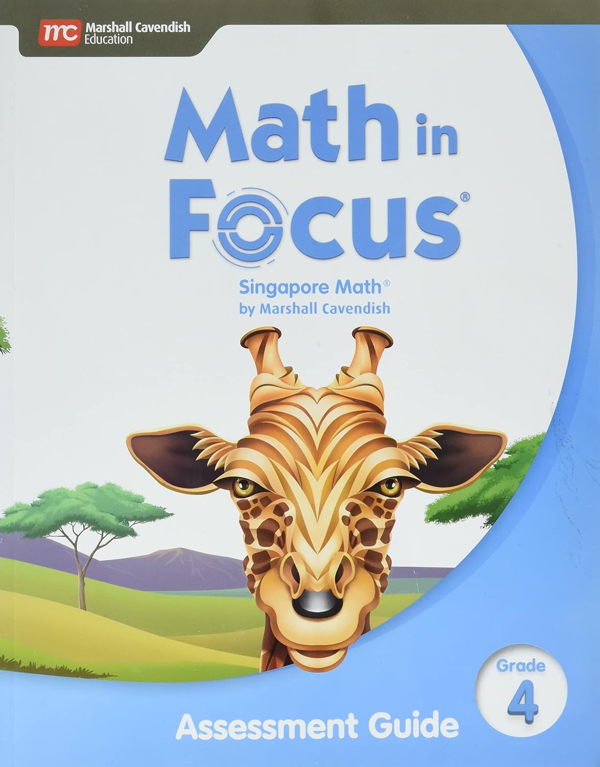 Buy Math in Focus Assessment Guide Grade 4 Book Online at Low Prices in ...