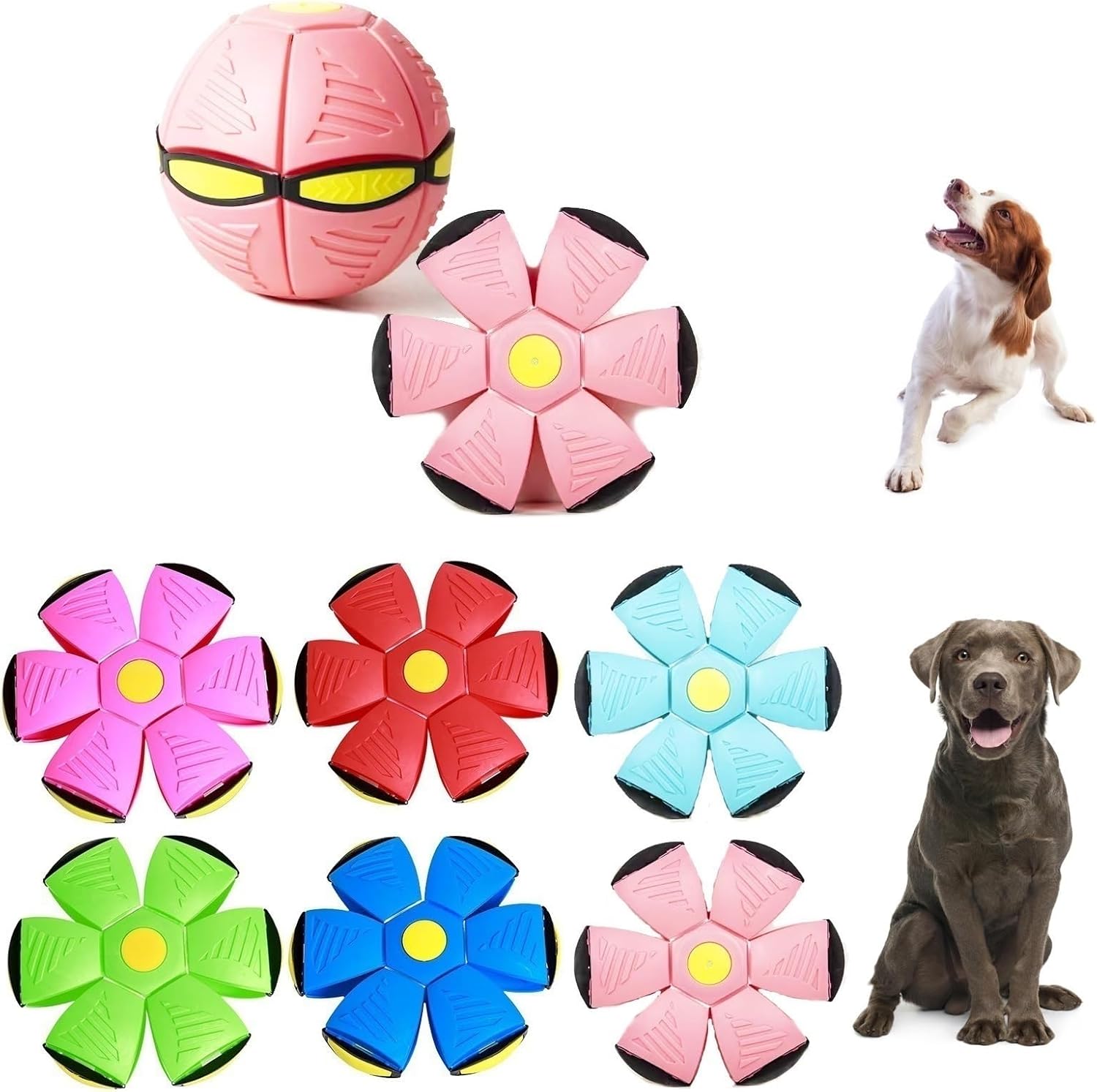Pet Supplies : OYSMY Dog Flying Discs Toy, Flying Saucer Ball for Dogs ...