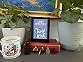 The Fall Risk: A Short Story - Kindle edition by Jimenez, Abby ...