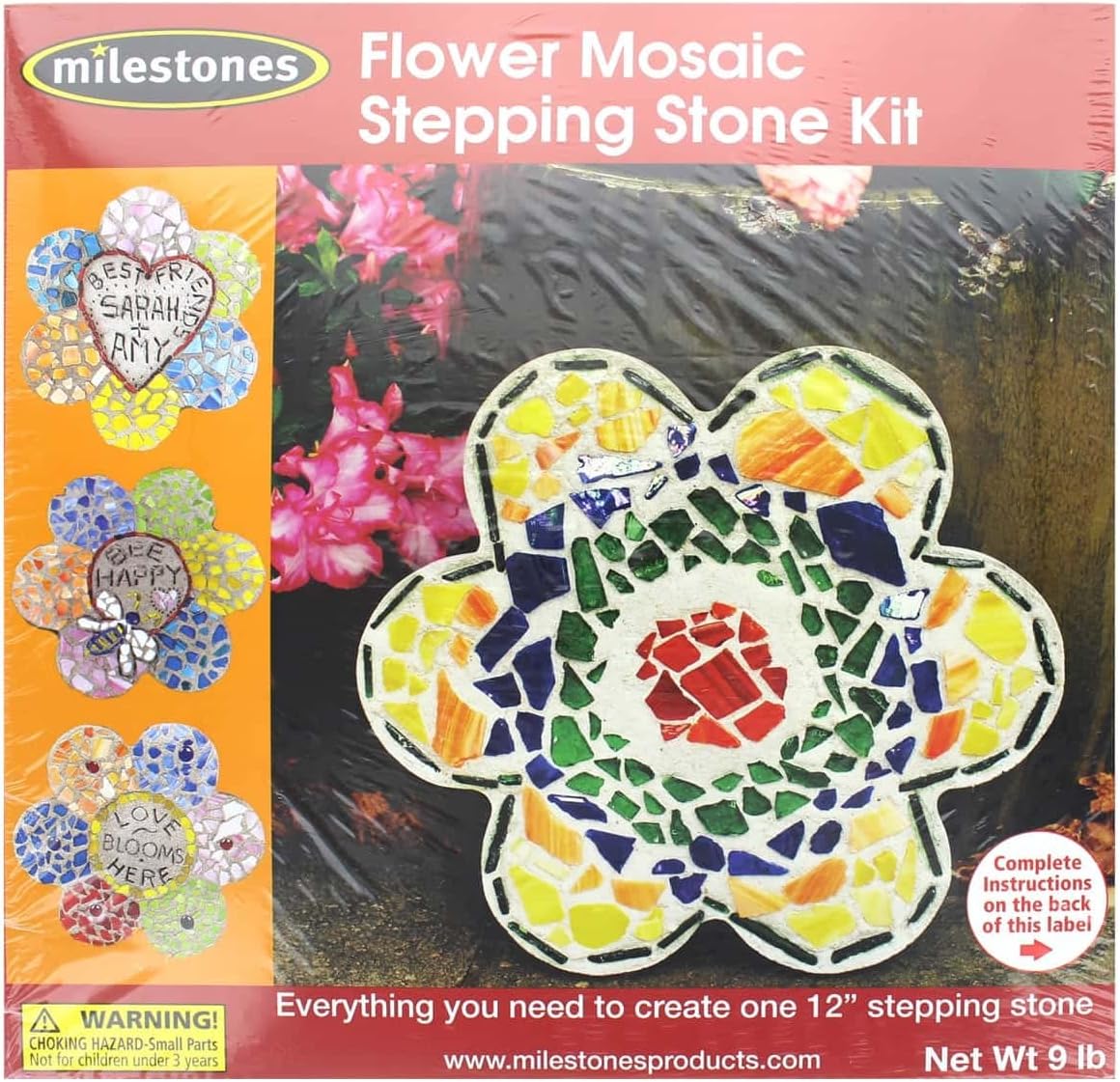 Amazon.com: Milestones Mosaic Flower Stepping Stone Kit : Toys & Games