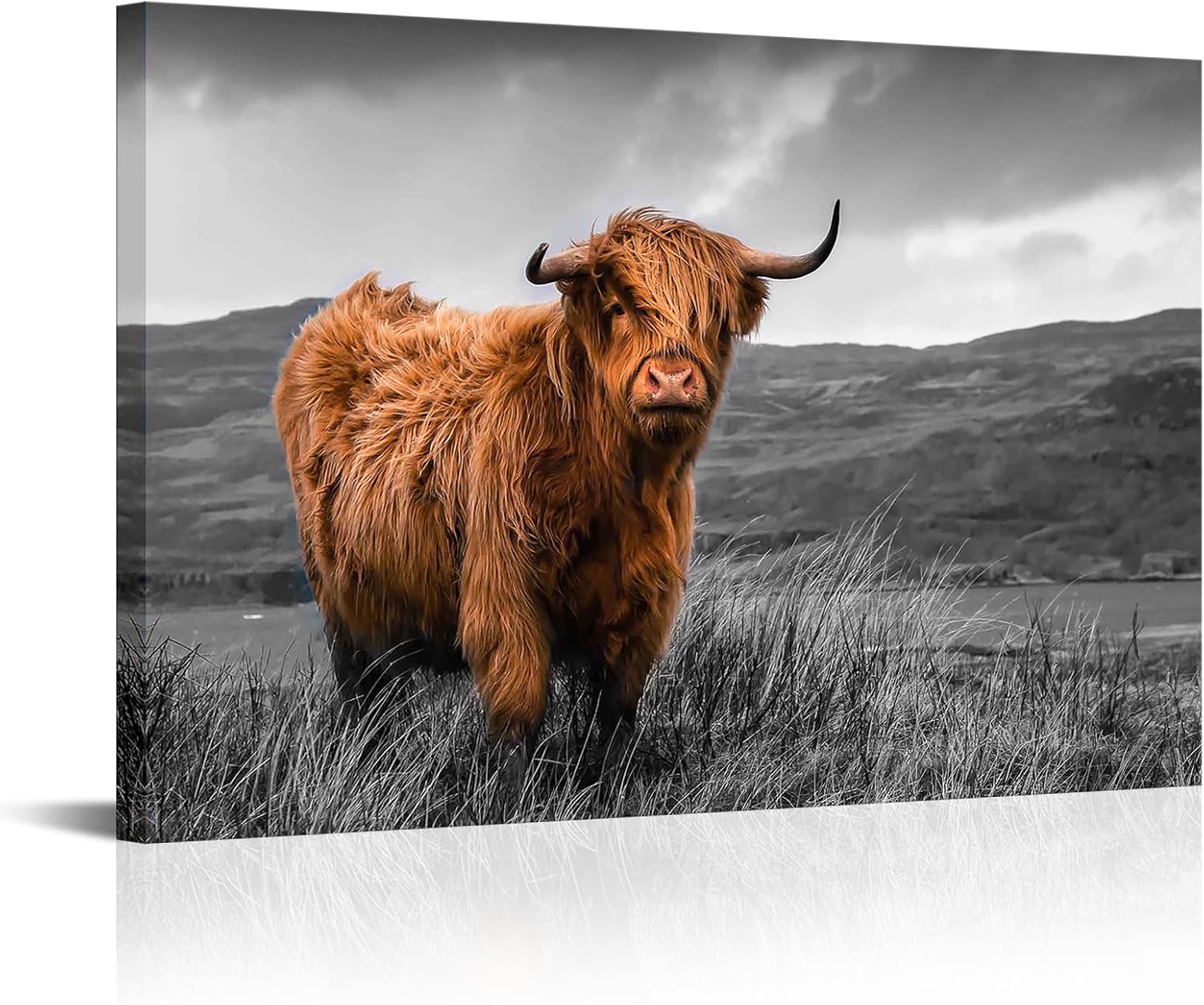 Amazon.com: AoArtWZ Highland Cow Canvas Wall Art Black and White Animal ...