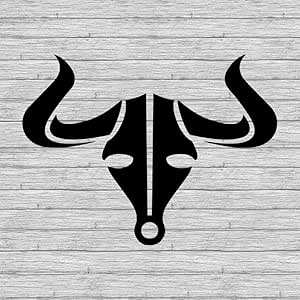 Amazon.com: Bull Wall Decals Vinyl Stickers, Salon Shop Store Cafe Bar ...