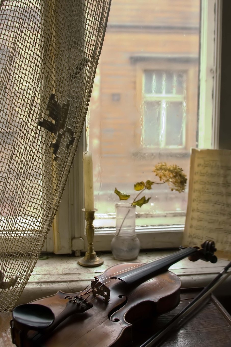 Amazon.com: Violin by a Window Journal: 150 page lined notebook/diary ...