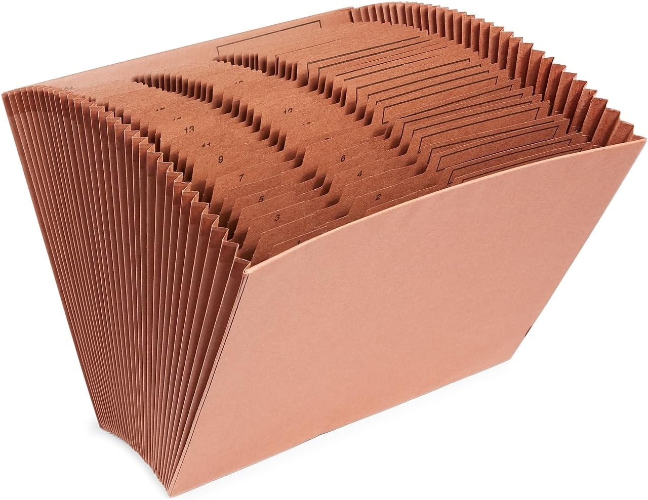 Amazon.com : Esselte Pendaflex Full-Flap Daily Expanding Files ...