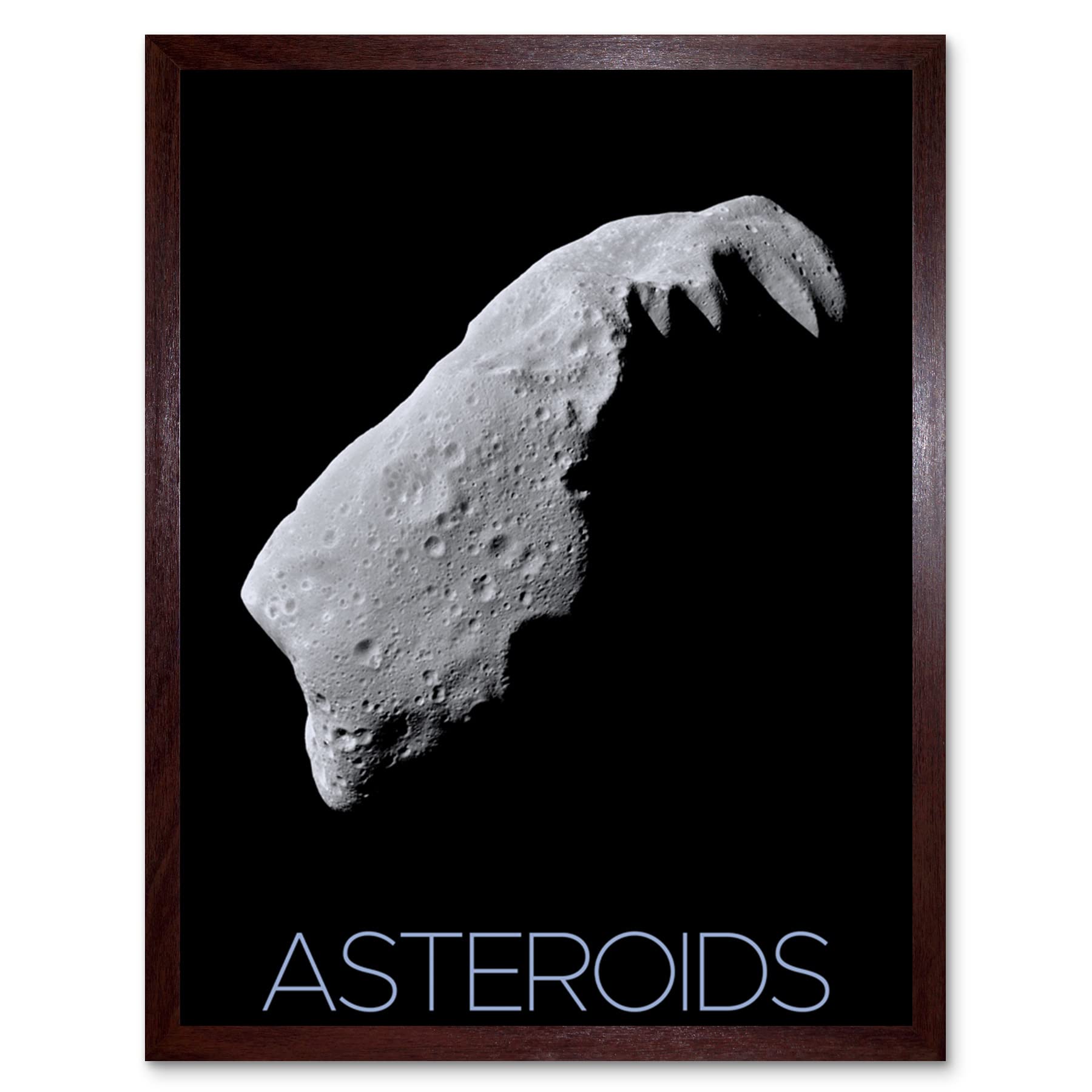 Asteroid 243 Ida