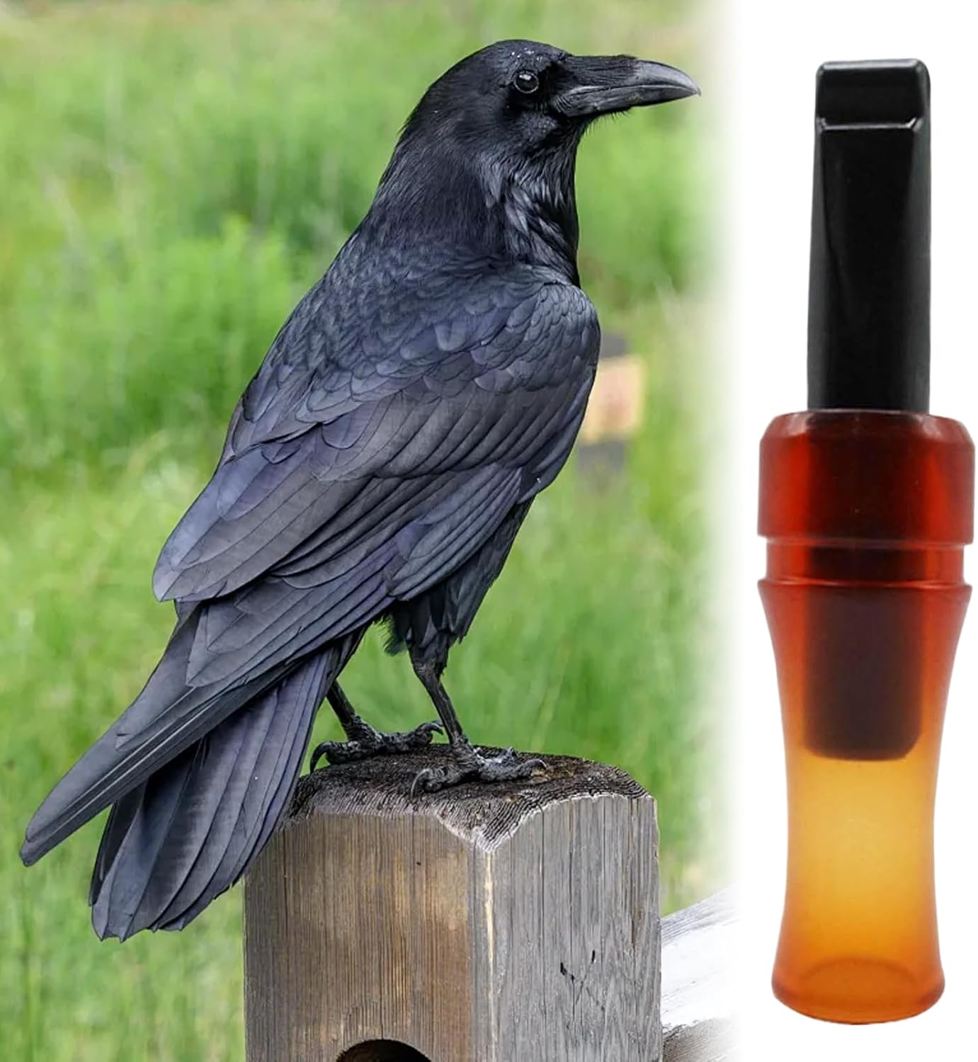Amazon.com: Crow Whistle, Crow Caller To Attract Crows, Caller Tool For ...